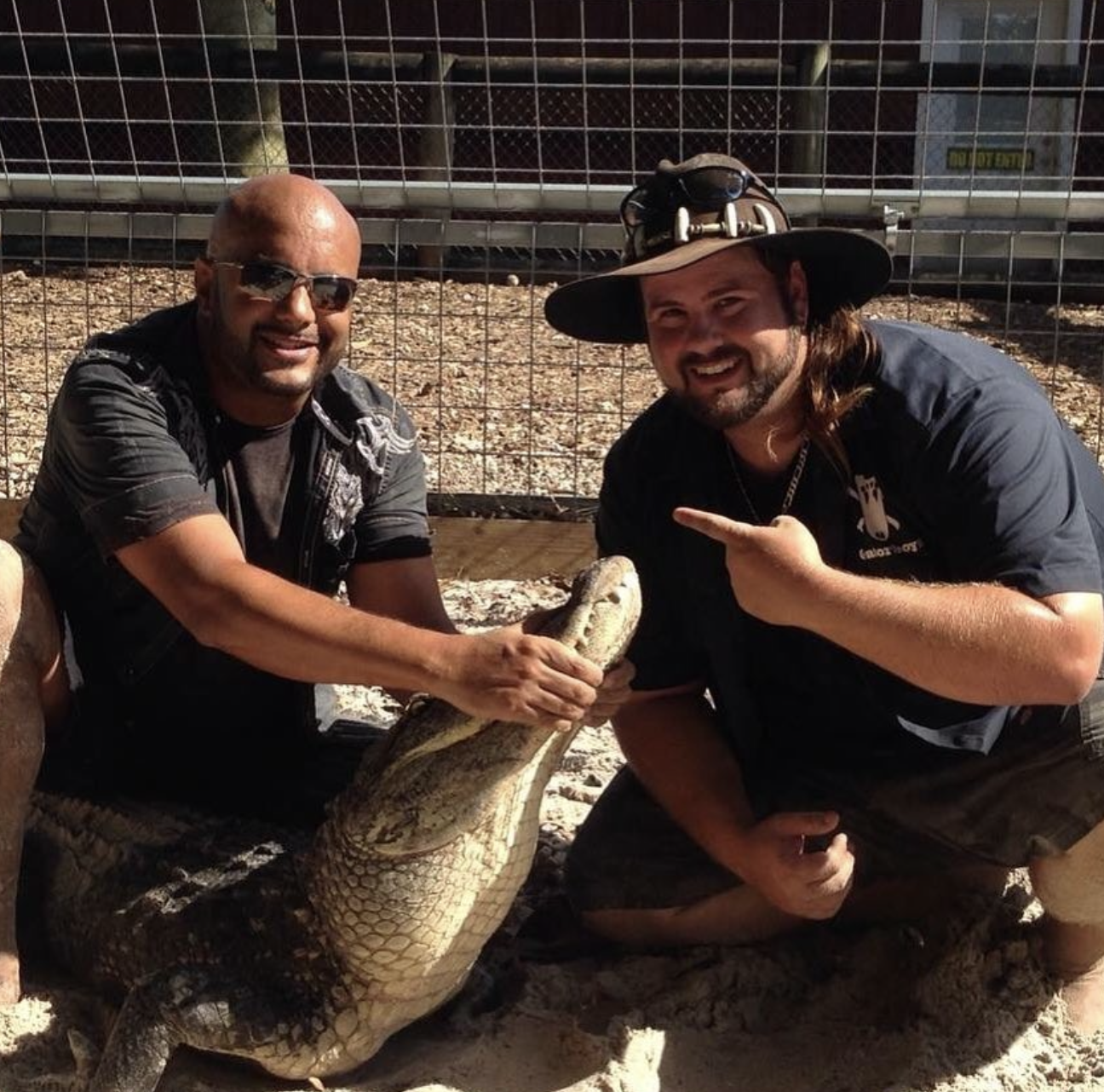 About Steve – Steve HellinG